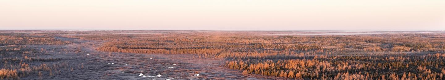 Legal Battles | Minnesota Center for Environmental Advocacy