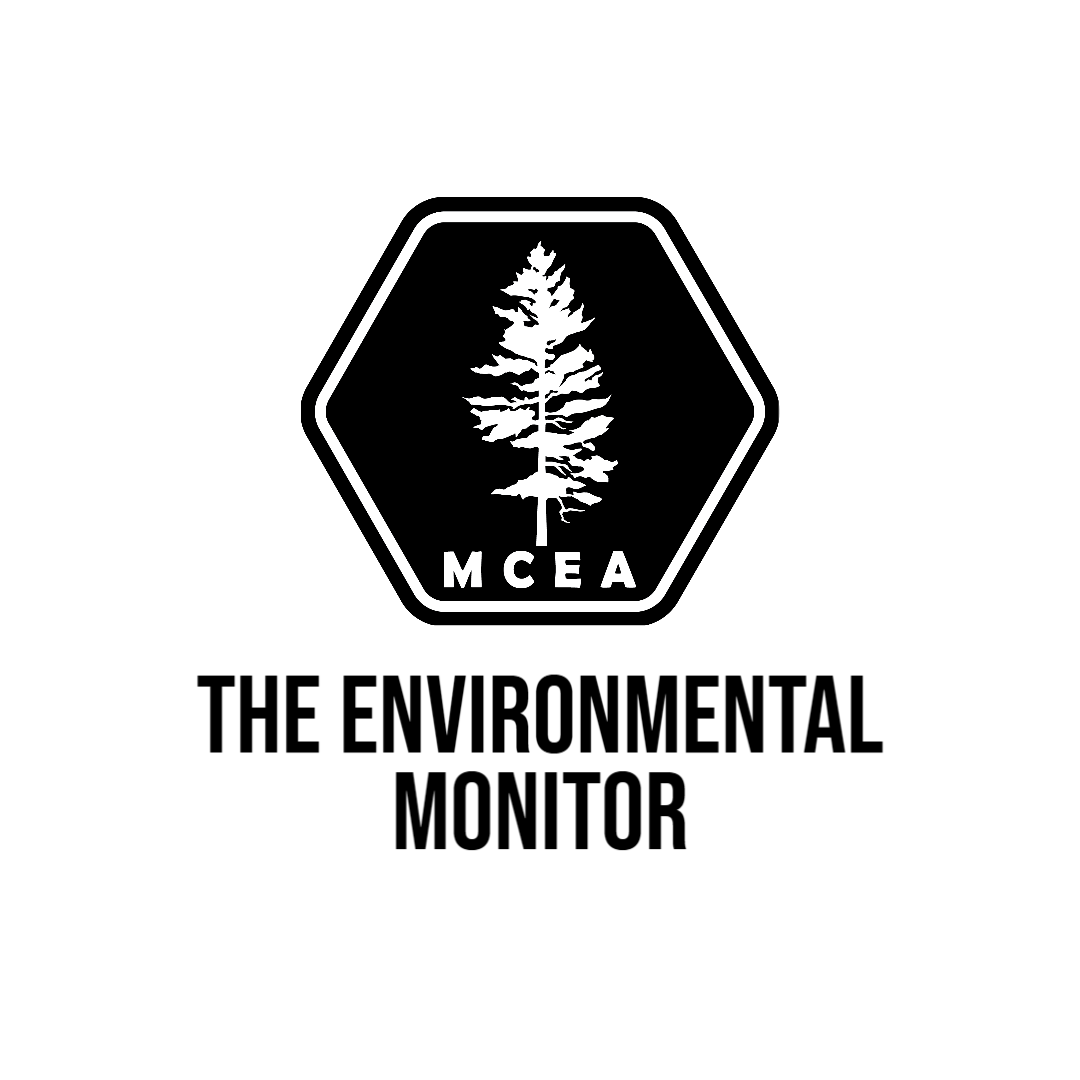 February 2021 MCEA newsletter | Minnesota Center for Environmental Advocacy